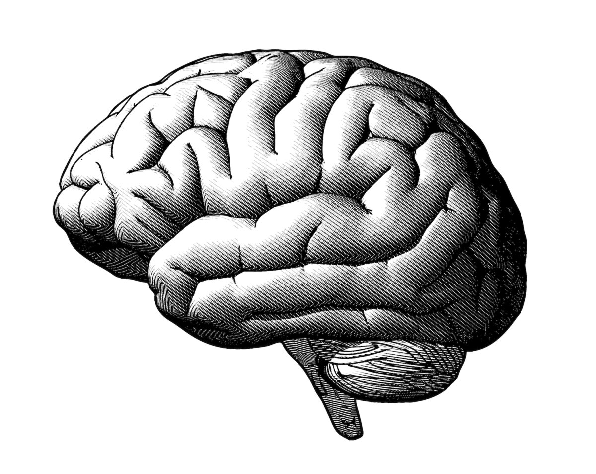 Extreme male brain theory of autism Extreme male brain theory of autism