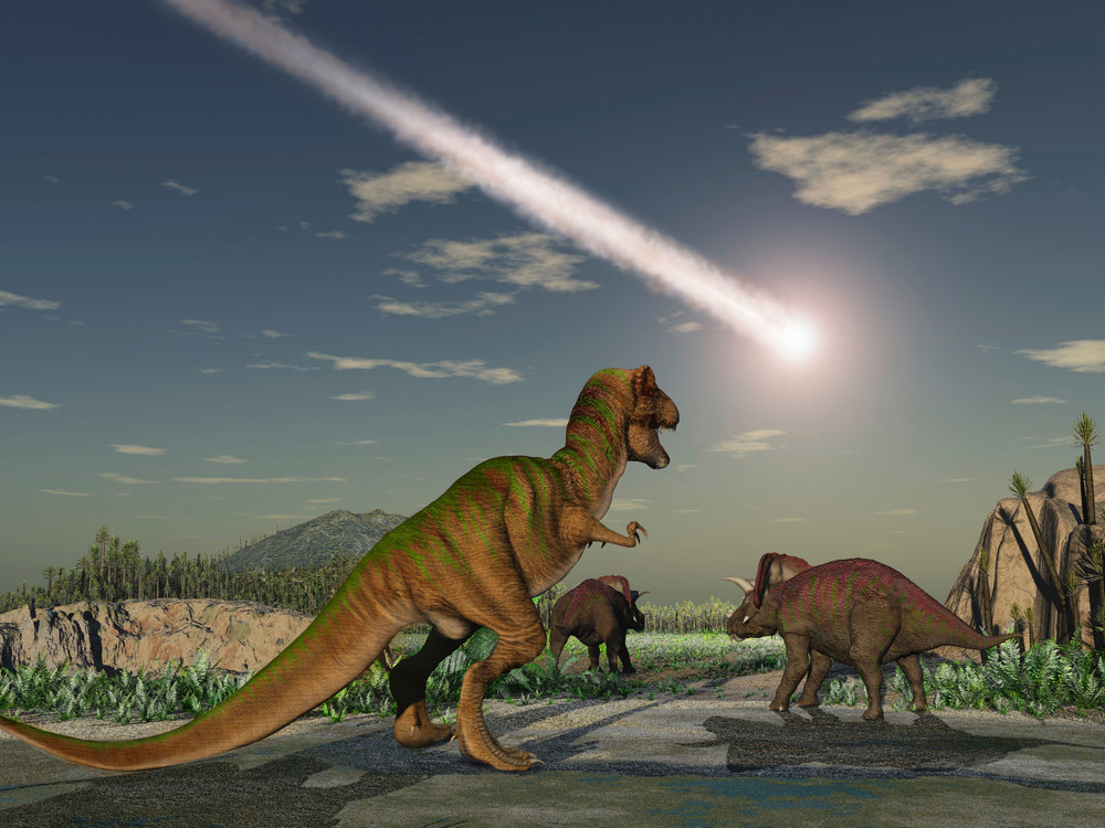 Timing may have helped kill off the dinosaurs Timing may have helped kill off the dinosaurs